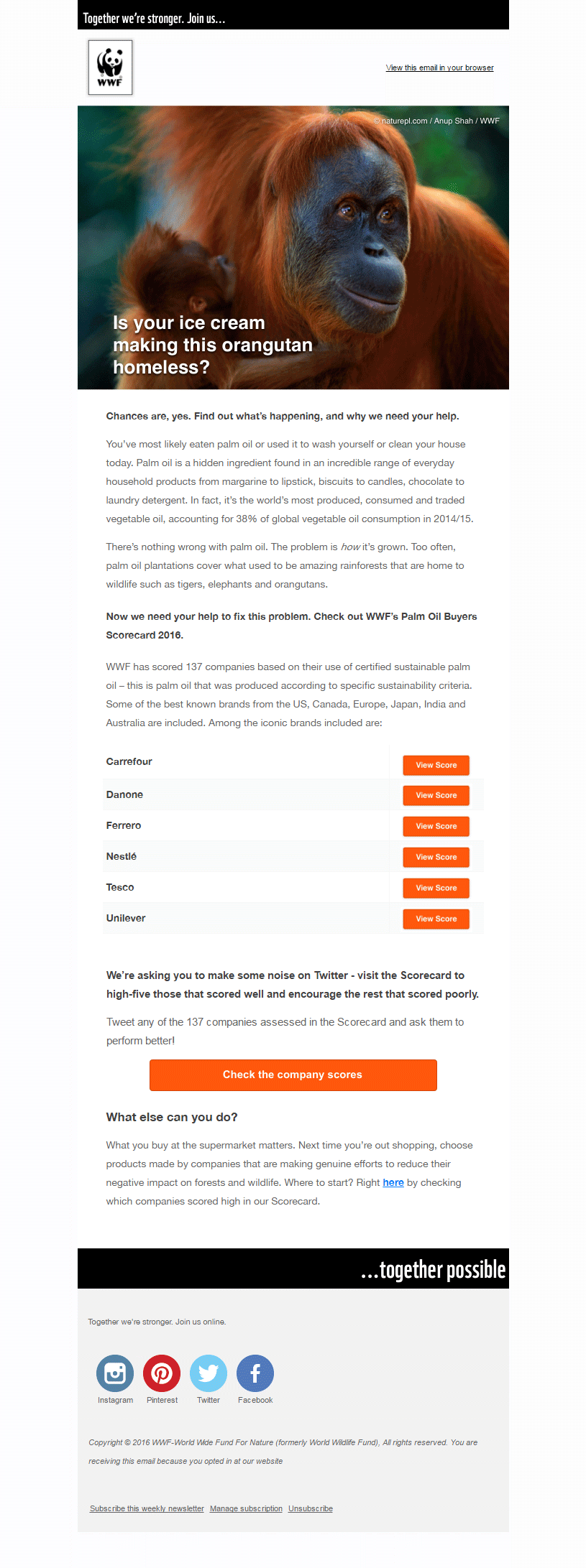 6 Hearts Touching Non Profit Email Examples