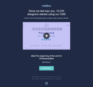 How to create an effective email sunsetting strategy