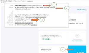 Guide To SAP (Sender Authentication Package) In SFMC