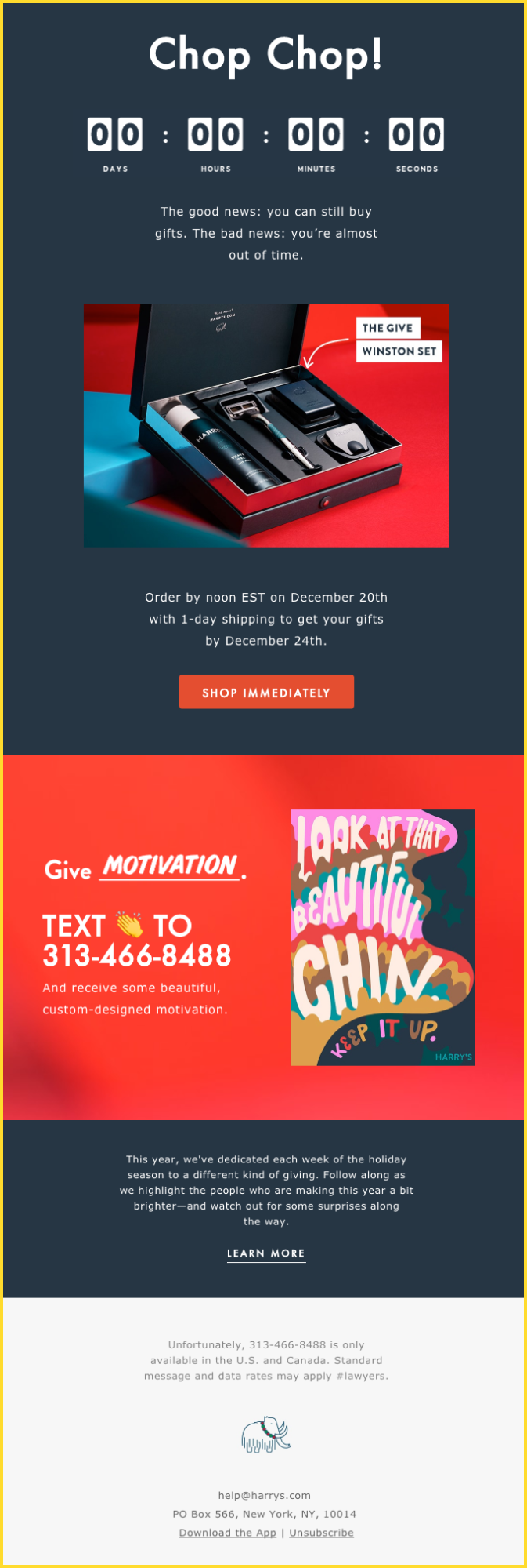 11 Holiday Email Templates Tips for Holiday Email Campaign