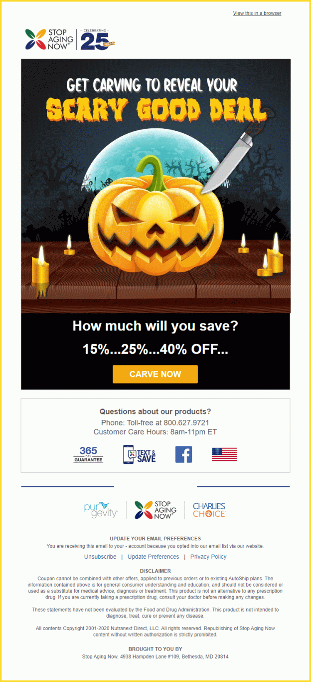 11 Holiday Email Templates Tips for Holiday Email Campaign